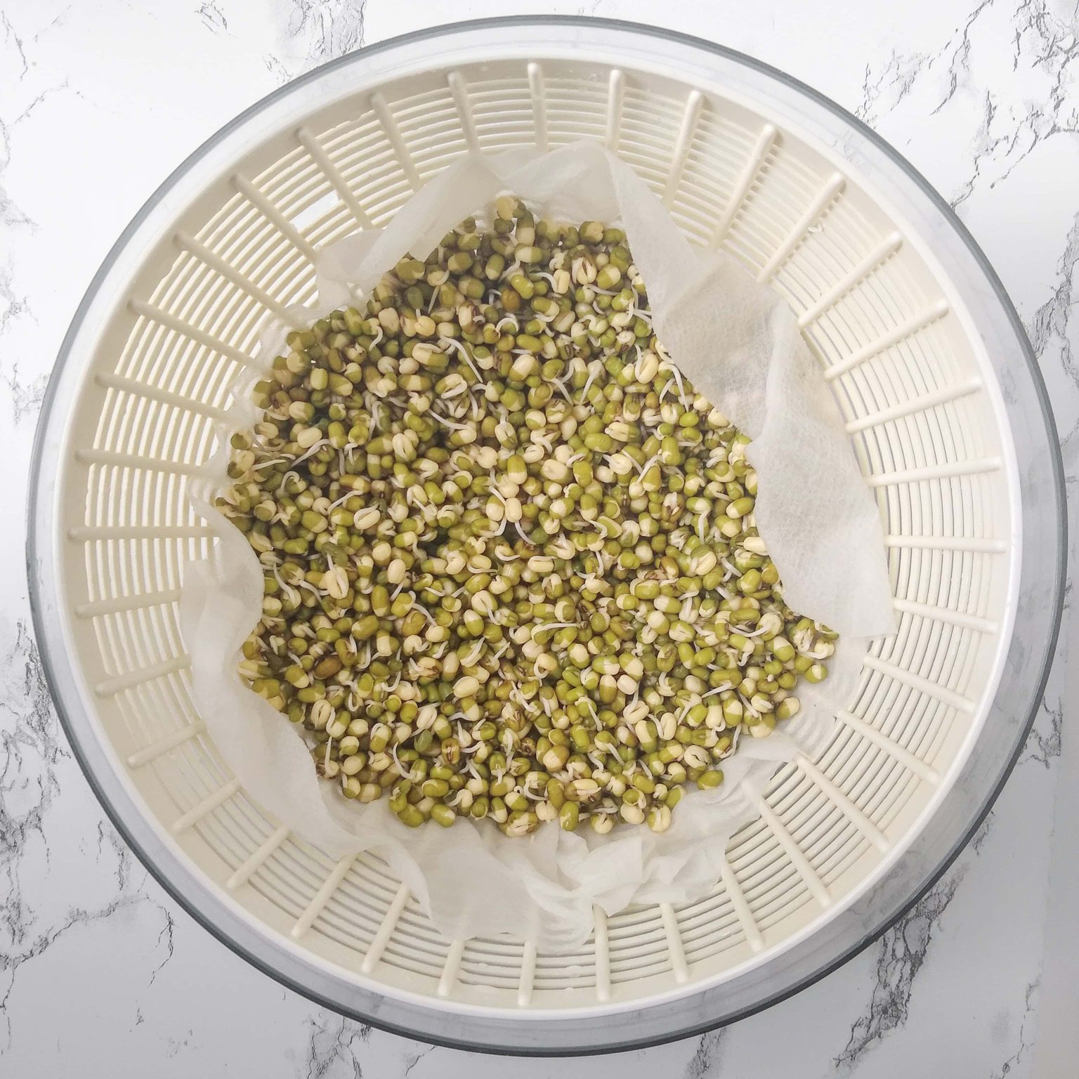 The Ultimate Guide for Growing Mung Bean Sprouts - Assorted Eats